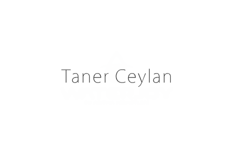 Taner Ceylan - Destech Internet Hizmetleri